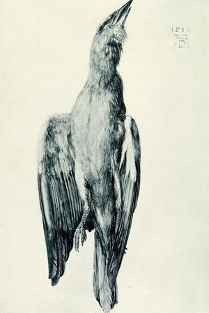 'The Dead Blue Roller' Giclee Print - Albrecht Dürer or Duerer | Art.com