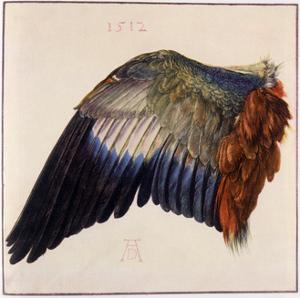 Albrecht Dürer Art for Sale: Prints, Paintings, Posters & Framed Wall ...