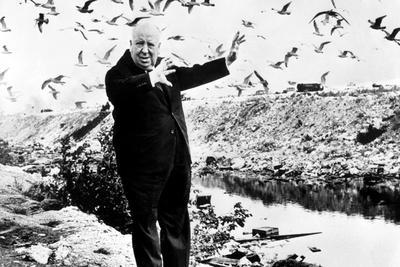 'ALFRED HITCHCOCK. "THE BIRDS" [1963], directed by ALFRED HITCHCOCK ...