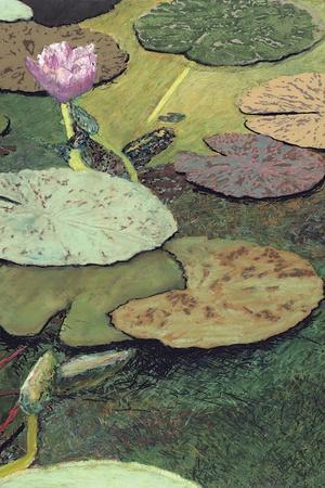 'Emerald Pond' Art Print - Allan Friedlander | Art.com