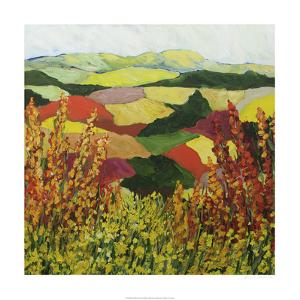 Allen Friedlander Art: Prints, Paintings, Posters & Wall Art | Art.com