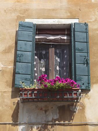 'Window and Shutters, Venice, Veneto, Italy, Europe' Photographic Print ...