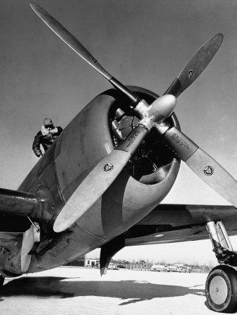 'American P-47 Thunderbolt Fighter Plane and its Pilot' Photographic ...