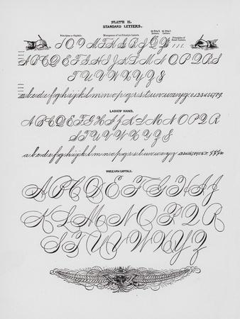 Standard Letters; Ladies' Hand; Whole Arm Capitals (Engraving) Giclee ...