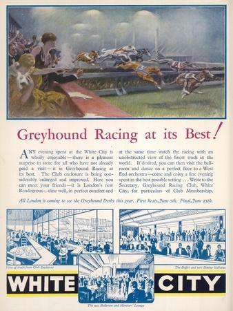 'An Advertisement for White City Greyhound Racing Track' Art Print ...