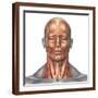 'Anatomy of Human Face And Neck Muscles, Front View' Photographic Print ...