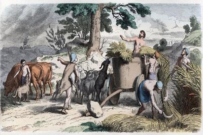 Ancient History. Greece. Farming and harvesting. German engraving, 1865 ...