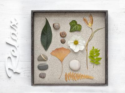'Still Life, Frames, Collection, Natural Materials, Stroke, 'Relax ...