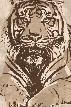 'Tiger' Art Print - Andrew Cooper | Art.com