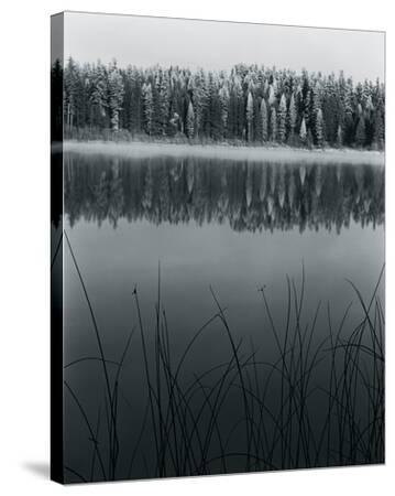 'Across The Lake' Stretched Canvas Print - Andrew Geiger | Art.com
