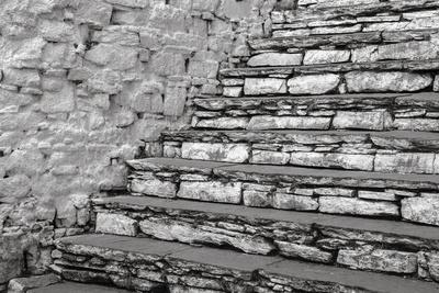 'Many Steps' Giclee Print - Andrew Geiger | Art.com