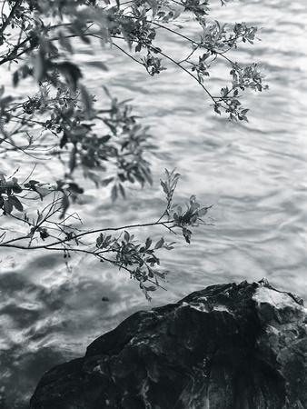 'Ripples' Giclee Print - Andrew Geiger | Art.com