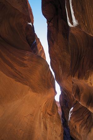 'Sun and Shade' Giclee Print - Andrew Geiger | Art.com