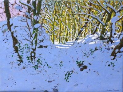 'Path through the Woods in Winter, Derbyshire, 2019 (Oil on Canvas ...