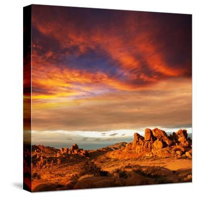 Gobi Desert Stretched Canvas Print - Andrushko Galyna | Art.com