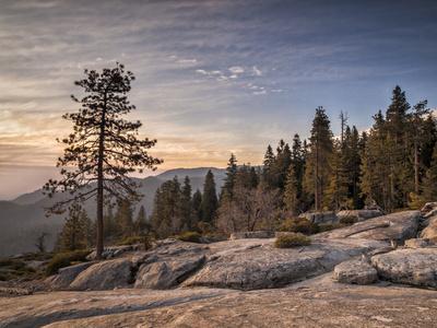 'USA, California, Sequoia National Park. Sunset Near Beetle Rock ...