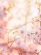 'Spring Blooming Tree' Photographic Print - Anna Omelchenko | Art.com