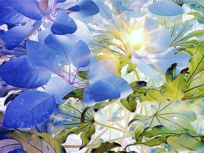 'Float' Giclee Print - Anne Dillon Art | Art.com