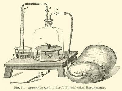 Apparatus Used in Bert's Physiological Experiments Giclee Print | Art.com