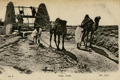 Arab Well with Men and Camels Photographic Print | Art.com