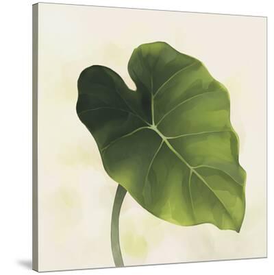 Easy Tropics - Prosper Stretched Canvas Print - Aria Ellis | Art.com