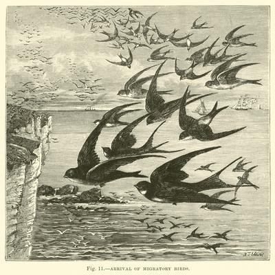 Arrival of Migratory Birds Giclee Print | Art.com