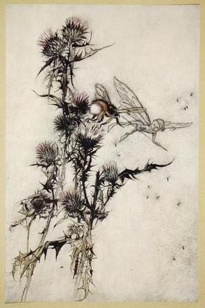 Arthur Rackham Flowers