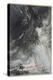 'Odin, Wotan Rides, Rackham' Giclee Print - Arthur Rackham | Art.com