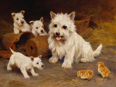 'Friend or Foe (Oil on Canvas)' Giclee Print - Arthur Wardle | Art.com