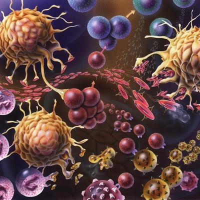 'Artistic Representation of the Immune System's Reaction to Bacteria ...