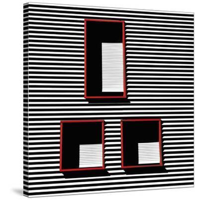 'Wicked Windows' Stretched Canvas Print - Ash Camas | Art.com