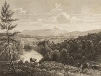 'The Beeches, 1845' Giclee Print - Asher Brown Durand | Art.com