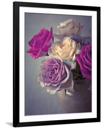 Vintage Rosa Framed Giclee Print - Assaf Frank | Art.com