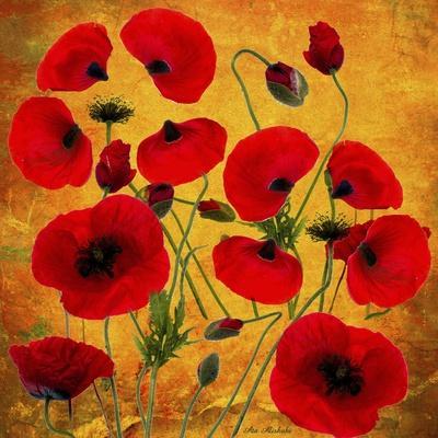 Famous Poppies Painting