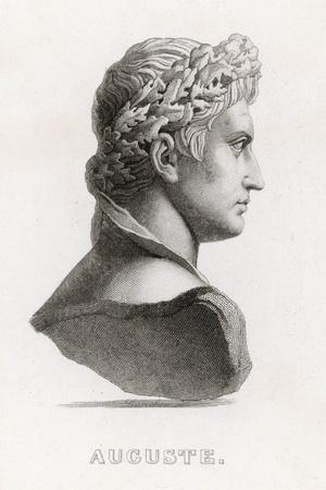 Augustus Caesar Drawing