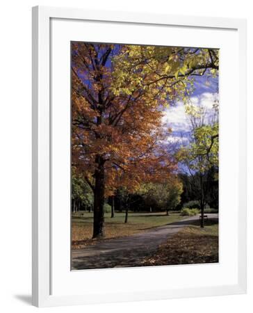 Autumn Colors and Roadway, Bernheim Forest and Arboretum, Clermont ...