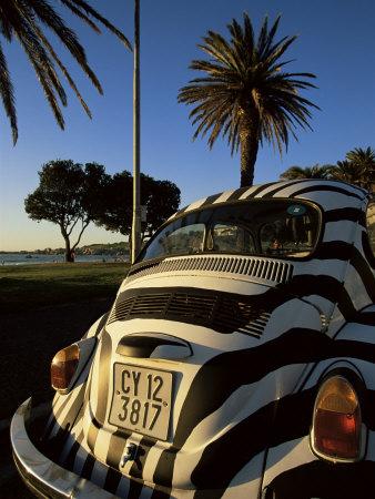 'Back of a Beetle Car Painted in Zebra Stripes, Cape Town, South Africa ...