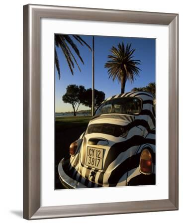 Back of a Beetle Car Painted in Zebra Stripes, Cape Town, South Africa ...