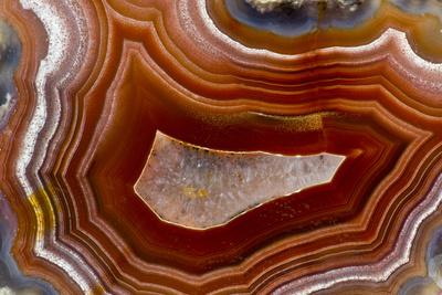 'Banded Agate, Sammamish, Washington' Photographic Print - Darrell ...