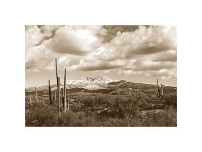 Four Peaks Giclee Print - Barry Hart | Art.com