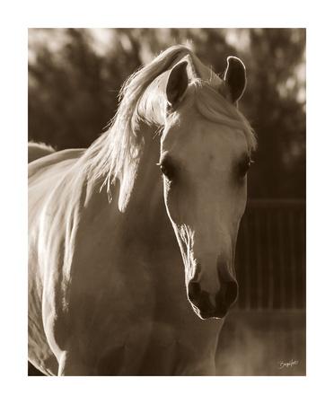 Jewel Giclee Print - Barry Hart | Art.com