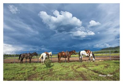 'Storm Warning (color)' Art Print - Barry Hart | Art.com