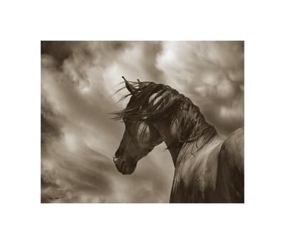 'The Renegade' Giclee Print - Barry Hart | Art.com