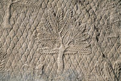 Bas-Relief from Royal Palace of Sennacherib, Nineveh, Surroundings of ...
