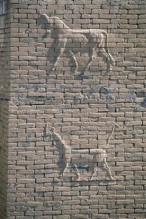 Bas-Reliefs on Walls Near Ishtar Gate, Babylon, Iraq, Babylonian ...