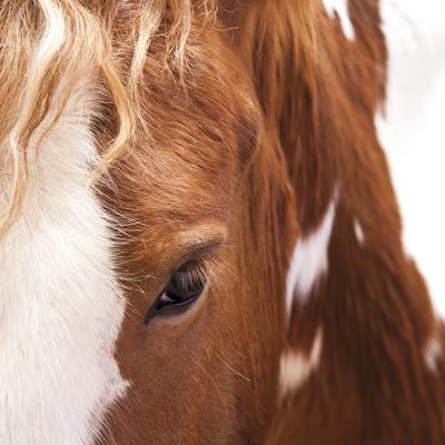 'Bay' Giclee Print - Ray Hartl | Art.com