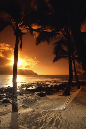 'Beach At Sunset' Photographic Print - Tony Craddock | Art.com