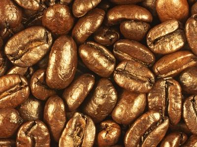 'Beaned' Photographic Print - Nathan Griffith | Art.com