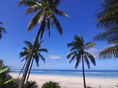 'Beautiful Sandy Beach and Palms at Ngazidja, Grand Comore, Comoros ...