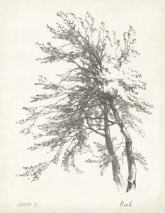 Beech Art: Prints, Paintings, Posters & Wall Art | Art.com